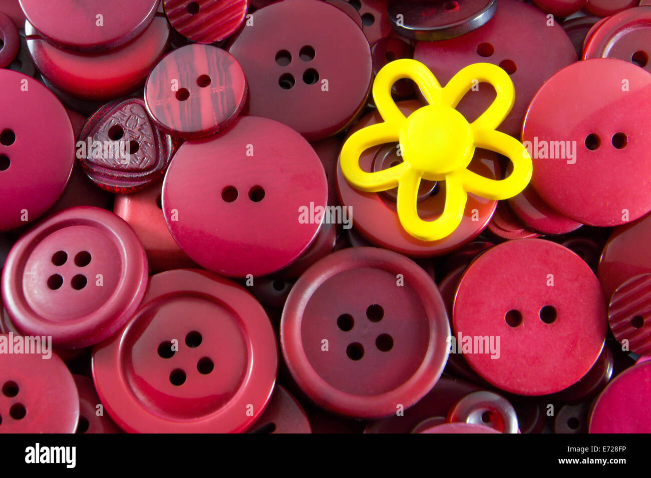 Red Buttons – Yellow Flower Stock Photo - Alamy