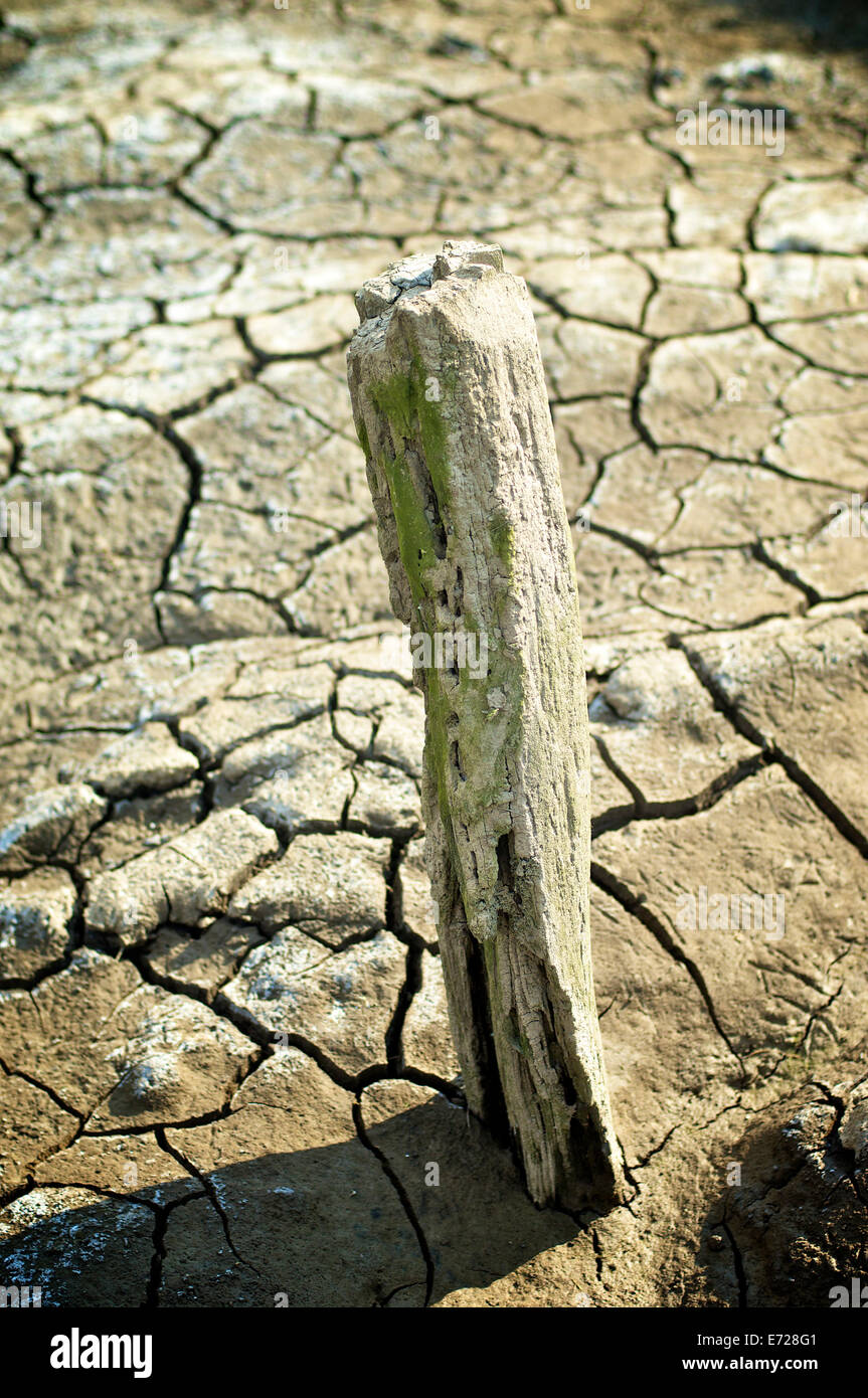 Old wooden pole and cracked mud during long period of no rainfall Stock ...