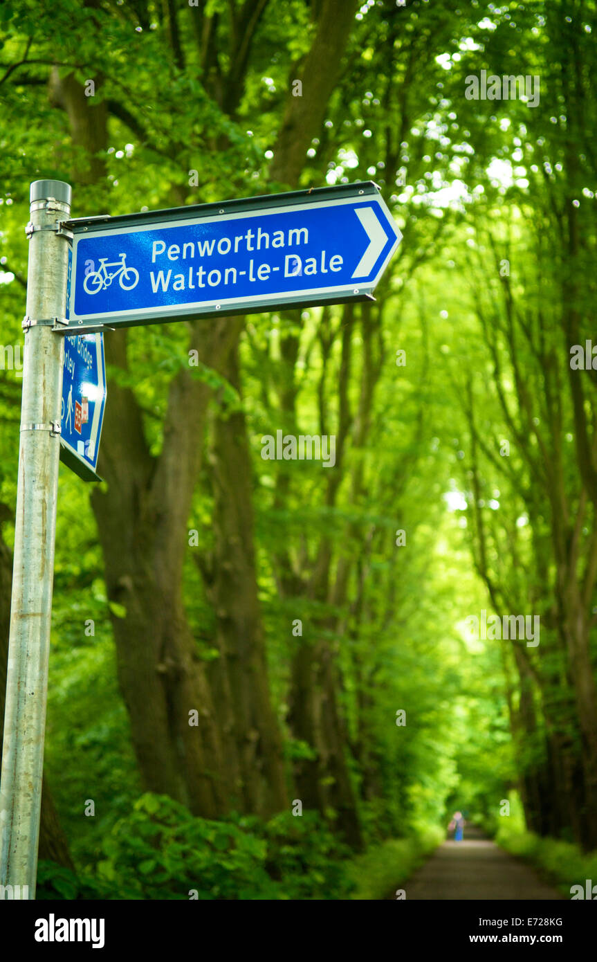 Rural path through avenue of trees in summer Stock Photo - Alamy