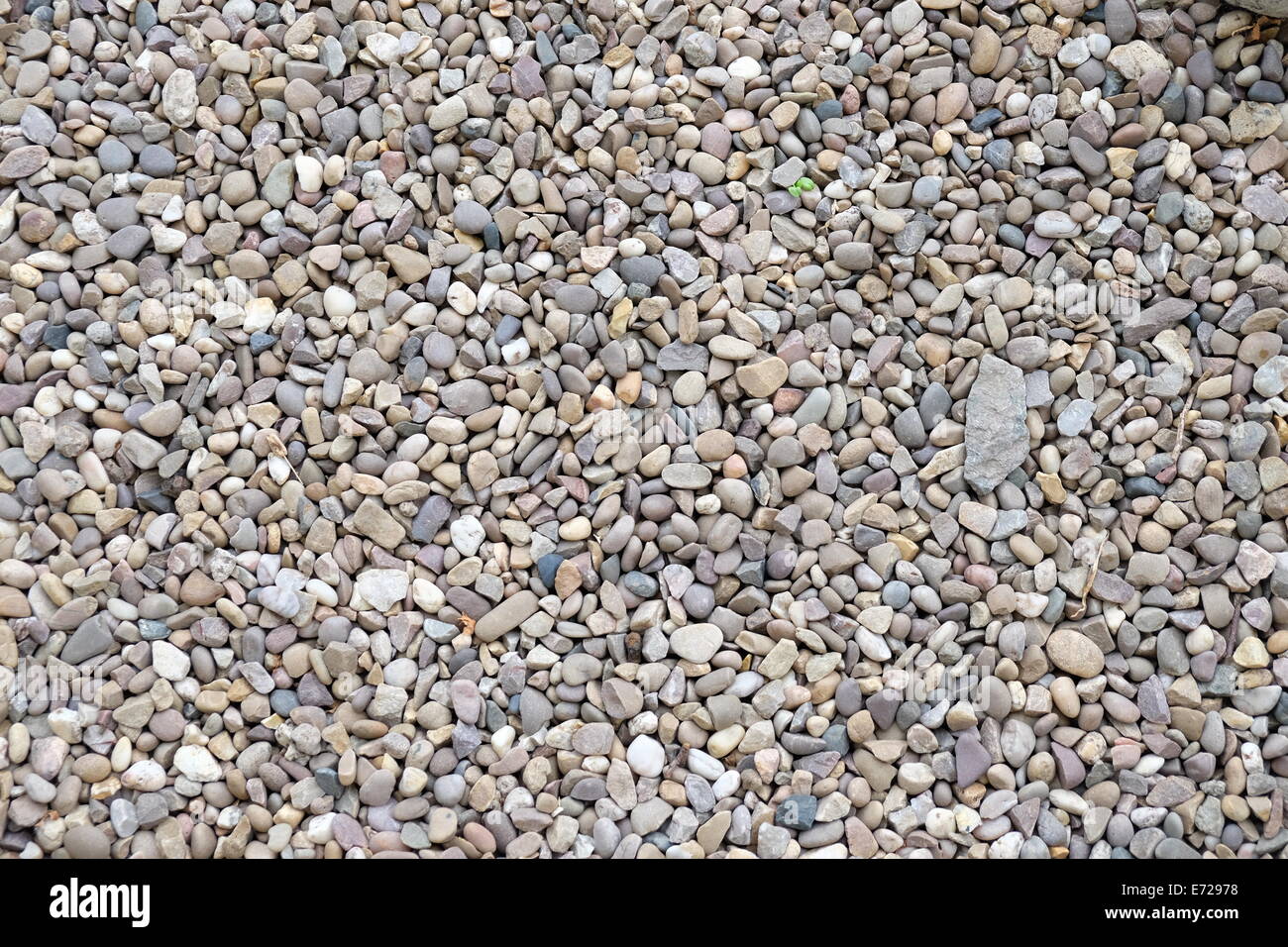 a close up of gravel Stock Photo - Alamy
