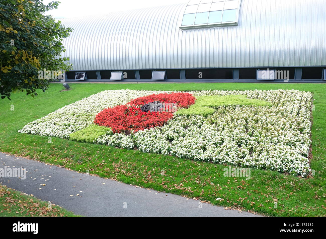 a poppy made from flowers to commemorate the start of ww1 Stock Photo ...