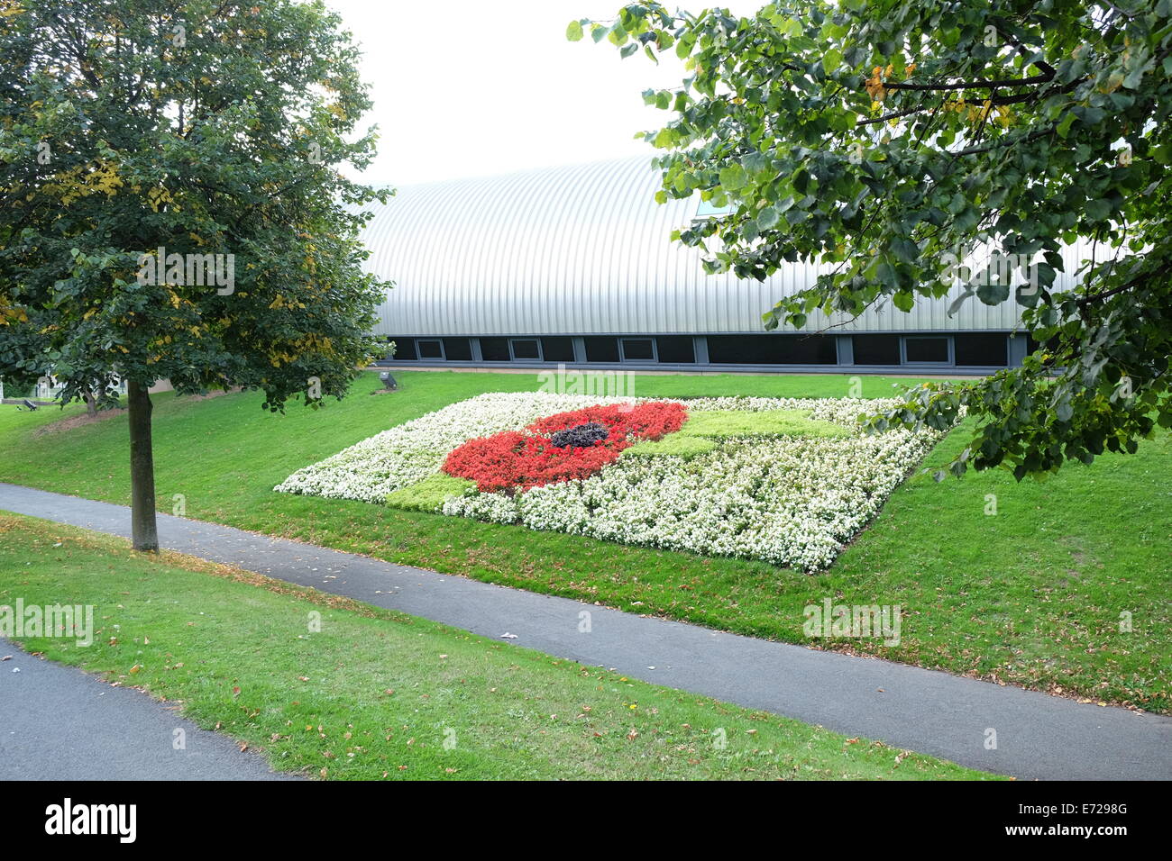 a poppy made from flowers to commemorate the start of ww1 Stock Photo ...