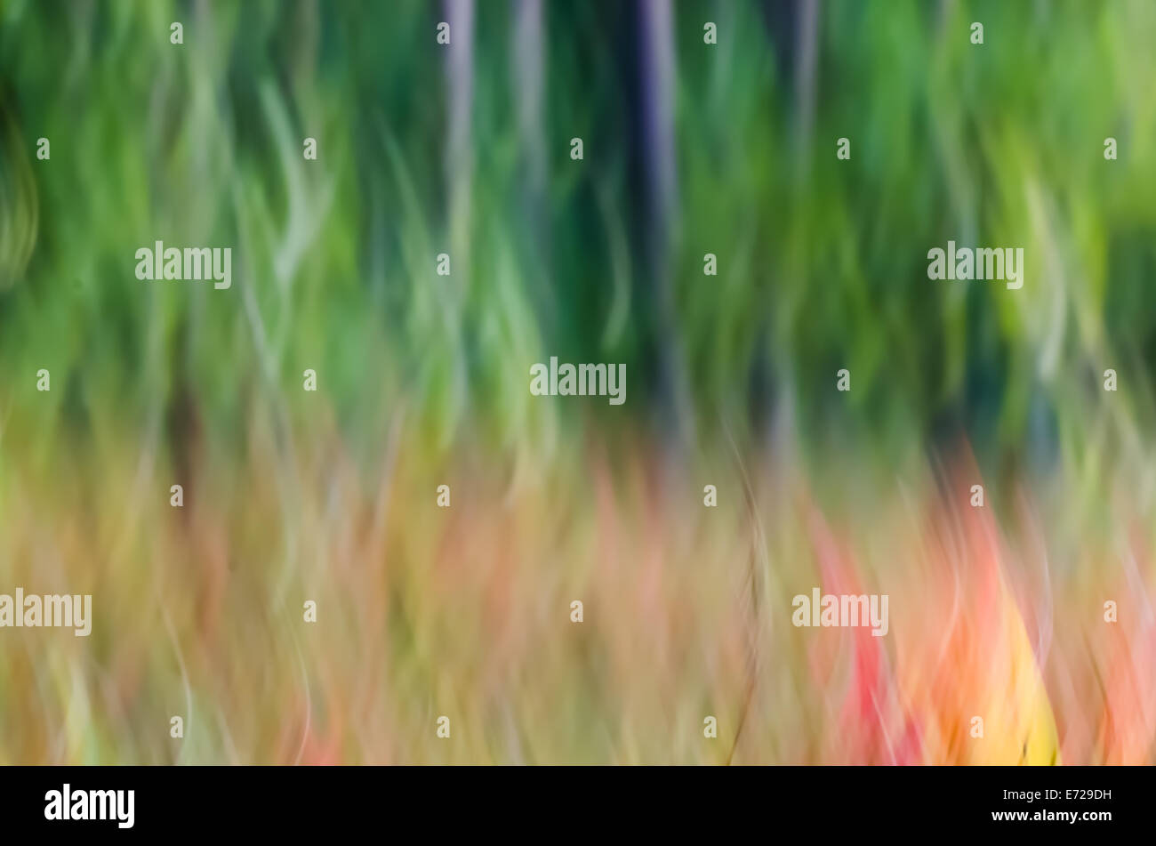 Outdoor scene defocused background hi-res stock photography and images ...