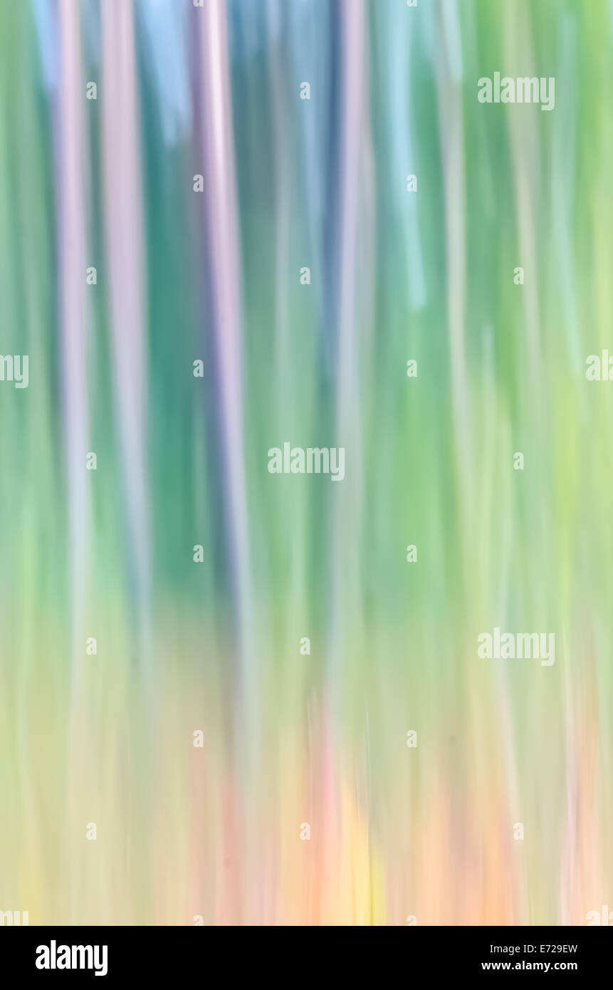 nature forest defocused background Stock Photo - Alamy