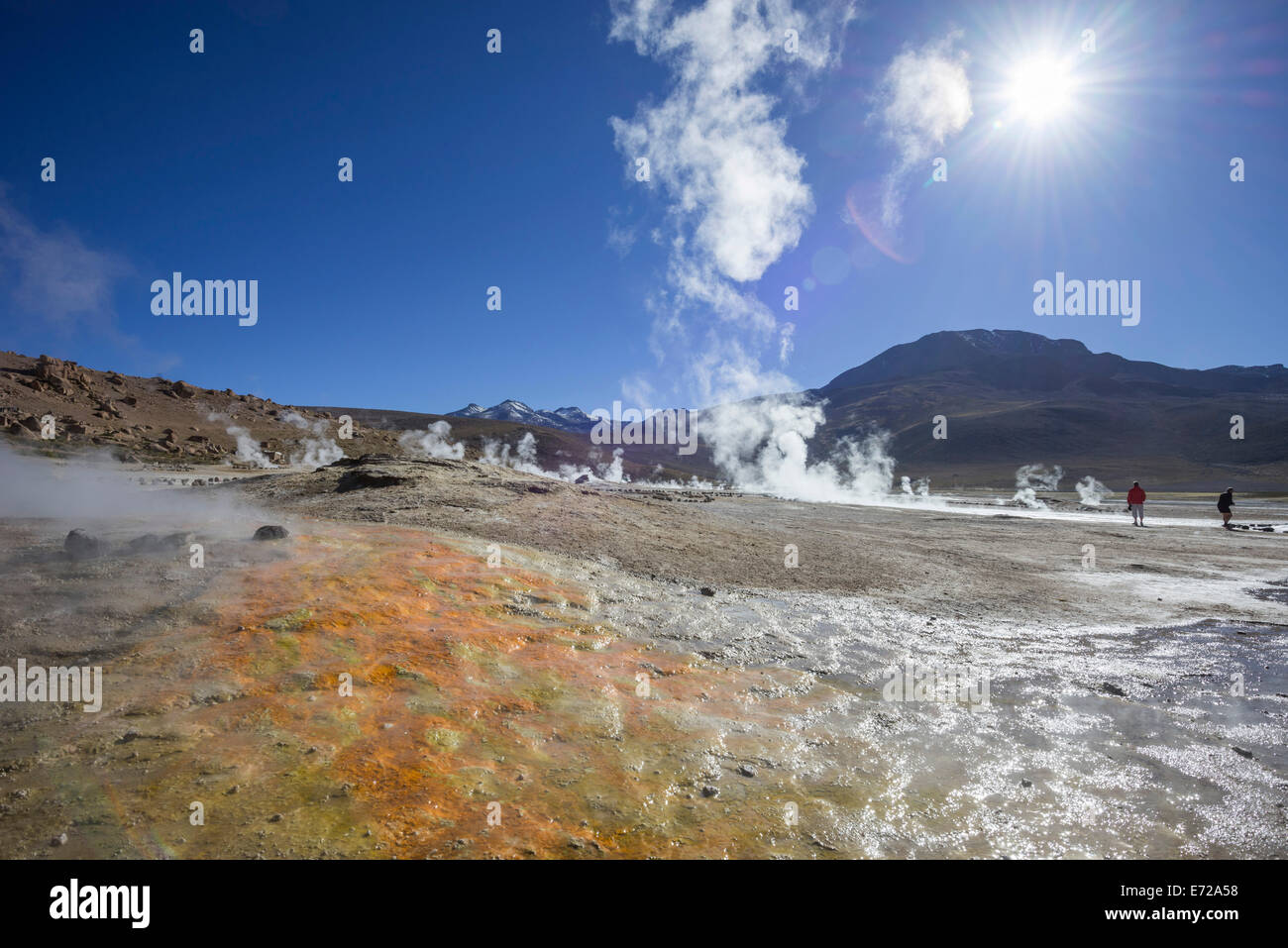 Sinter deposits at the Tatio Geysers, San Pedro de Atacama, Antofagasta ...