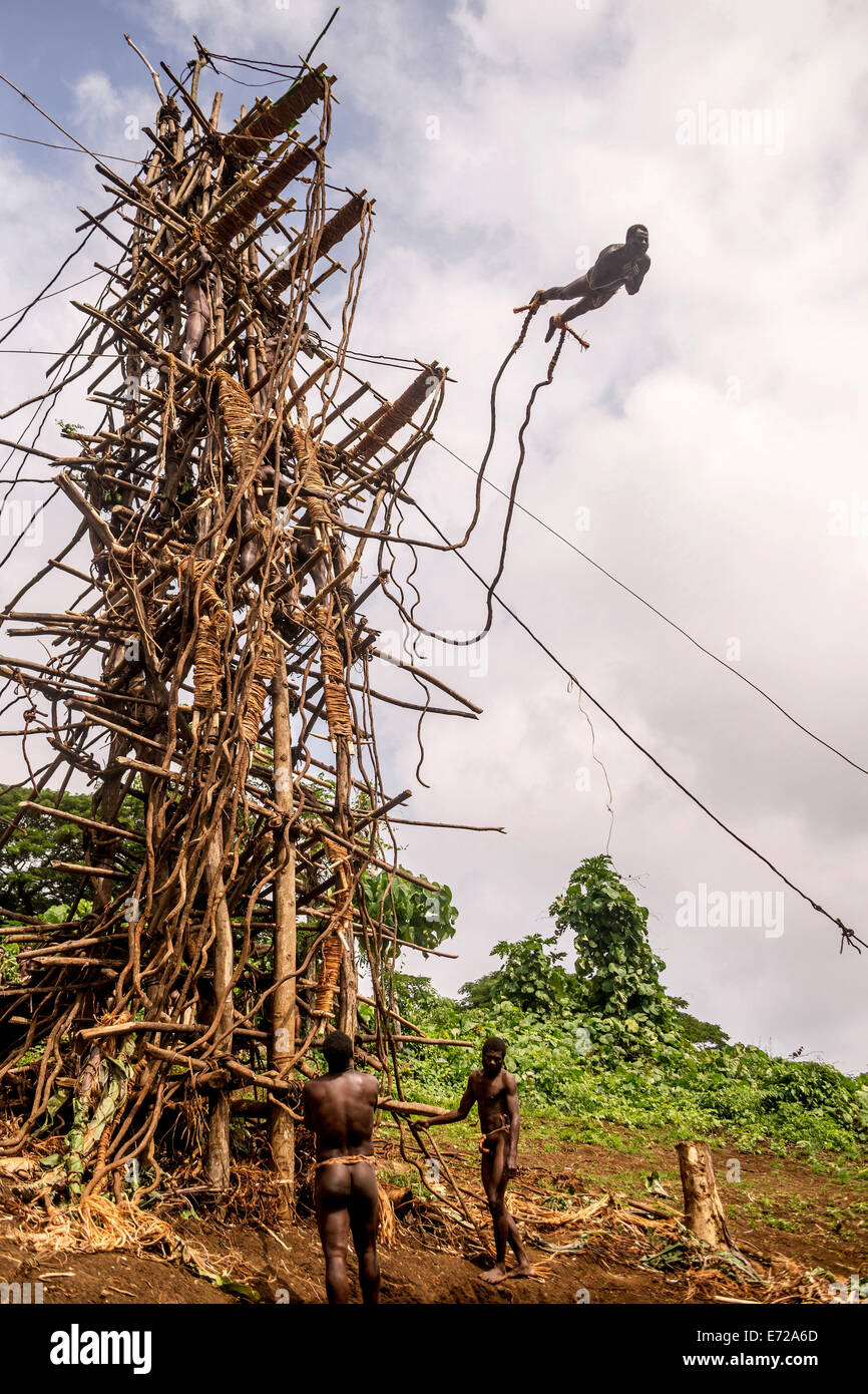 Land diver jumping, Pentecost Island, Vanuatu Stock Photo - Alamy