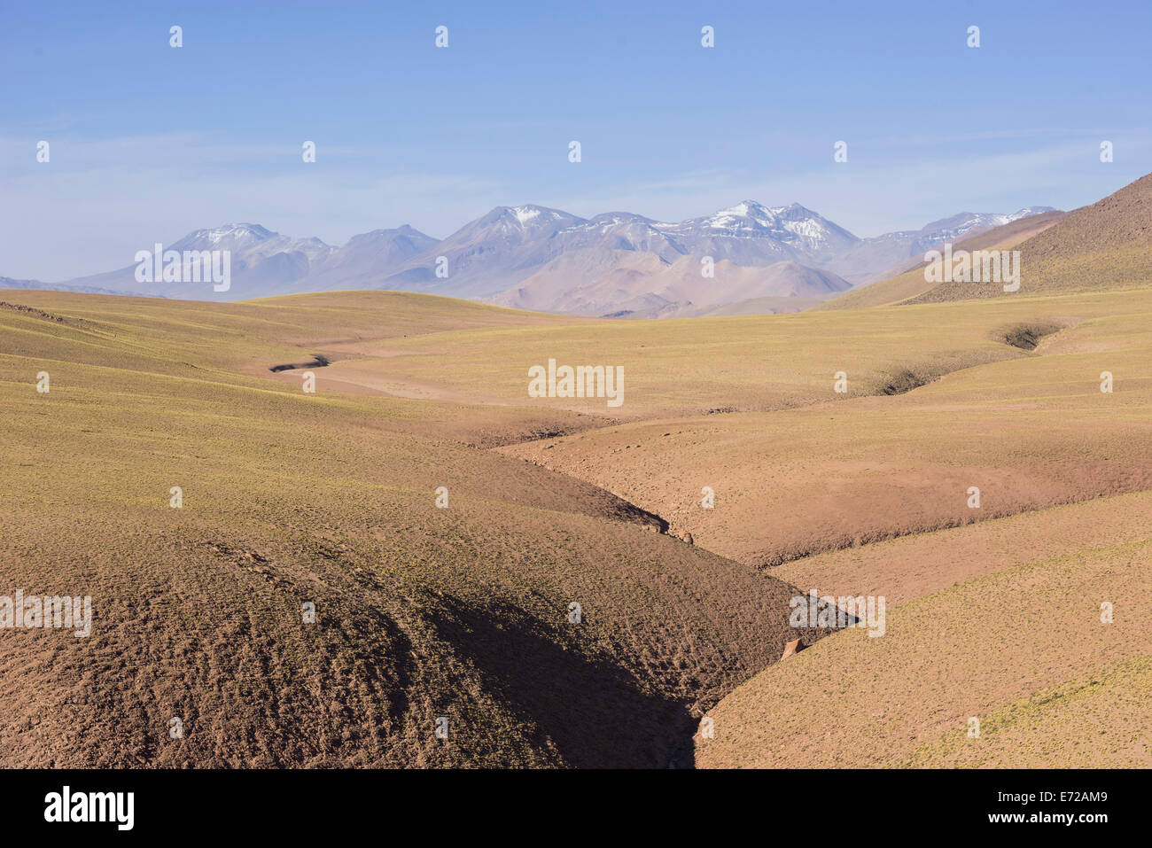 Highland region, San Pedro de Atacama, Antofagasta Region, Chile Stock ...