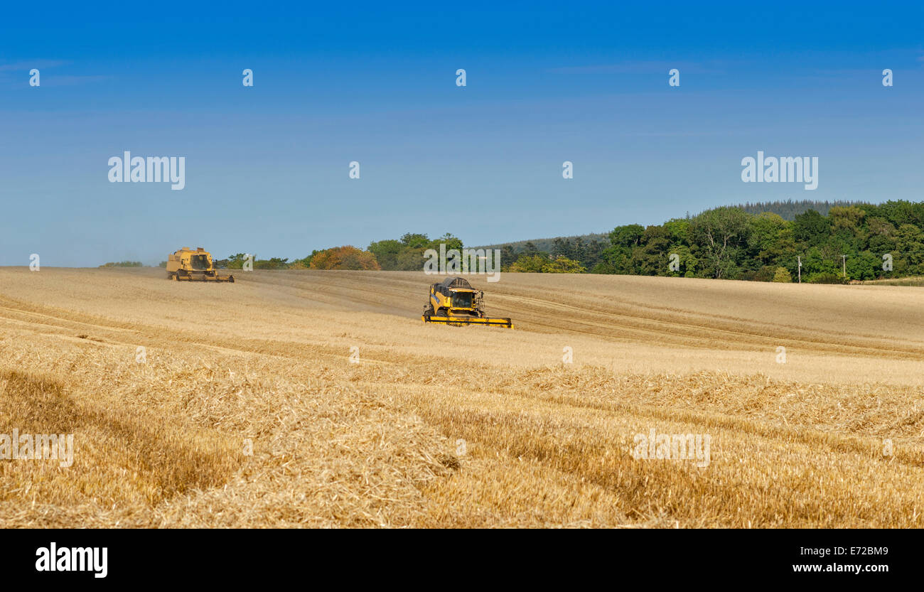 COMBINE HARVESTERS ABERDEENSHIRE SCOTLAND IN A BARLEY FIELD WITH THE ...