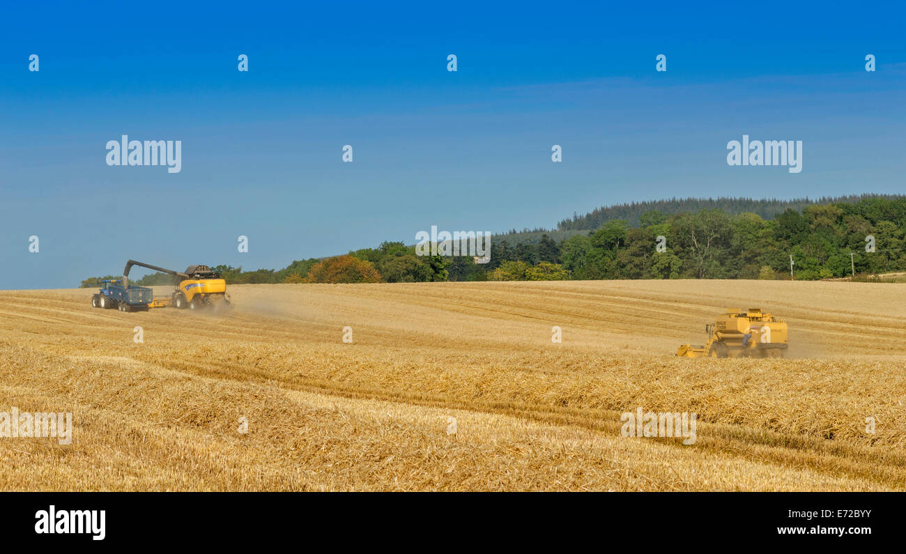 Loading grain hi-res stock photography and images - Alamy