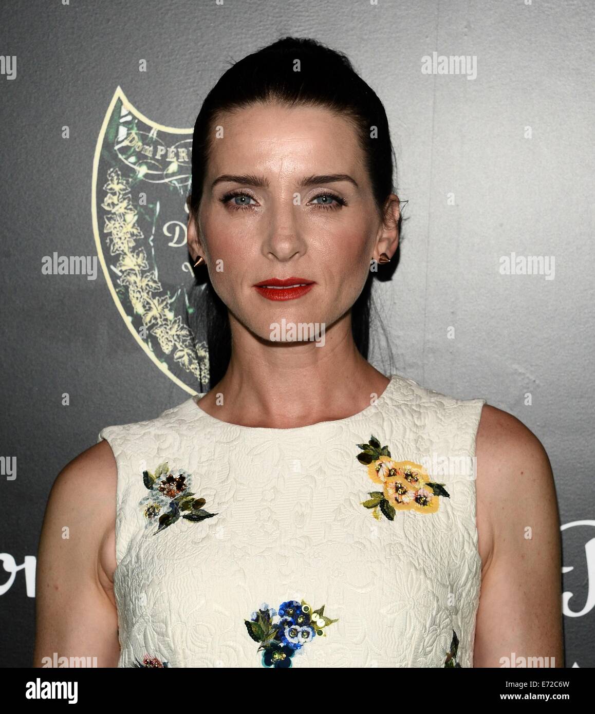 Brooklyn, NY, USA. 3rd Sep, 2014. Michele Hicks at arrivals for Launch ...