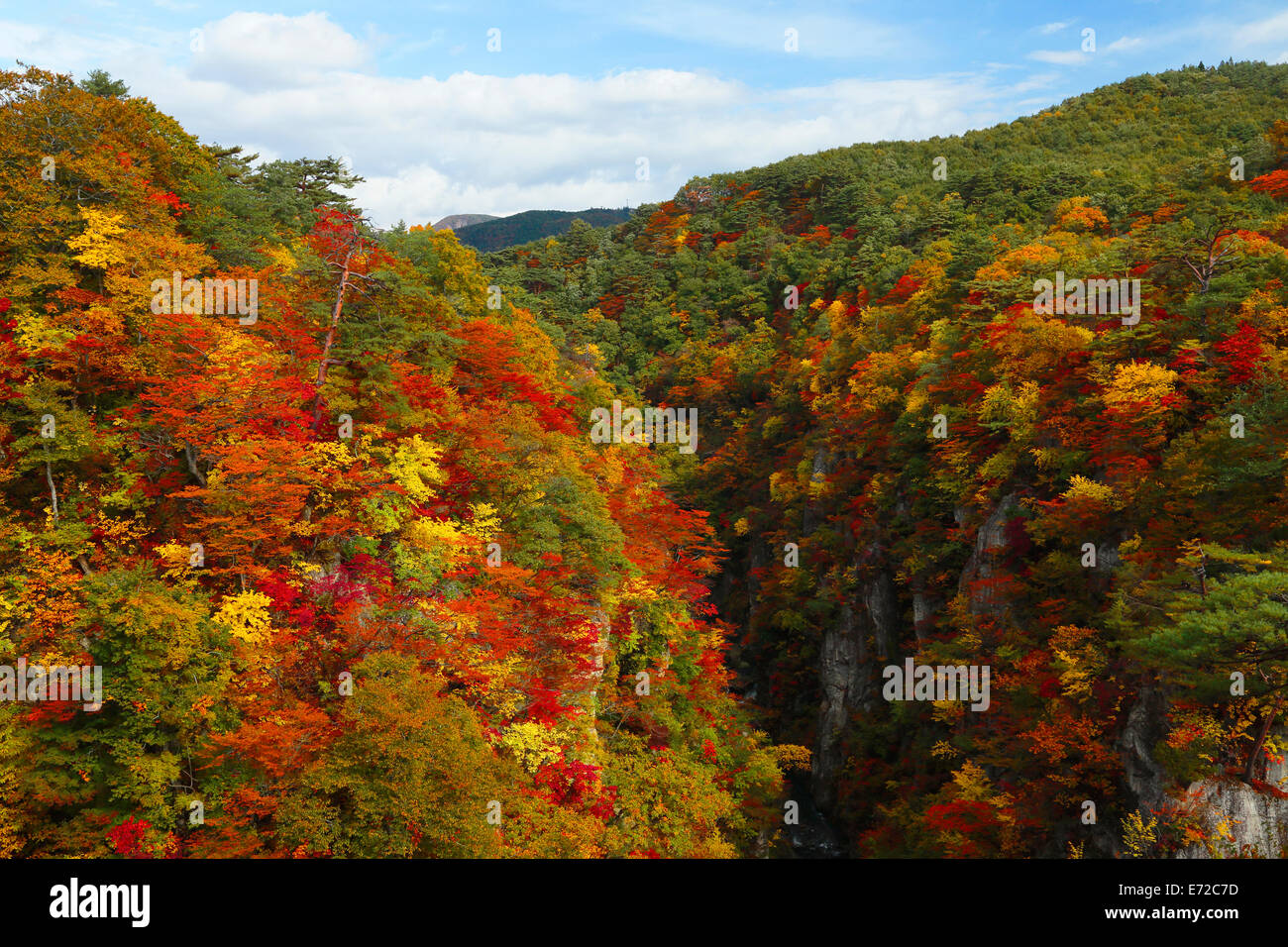 Naruko canyon in autumn, Miyagi, Japan Stock Photo - Alamy