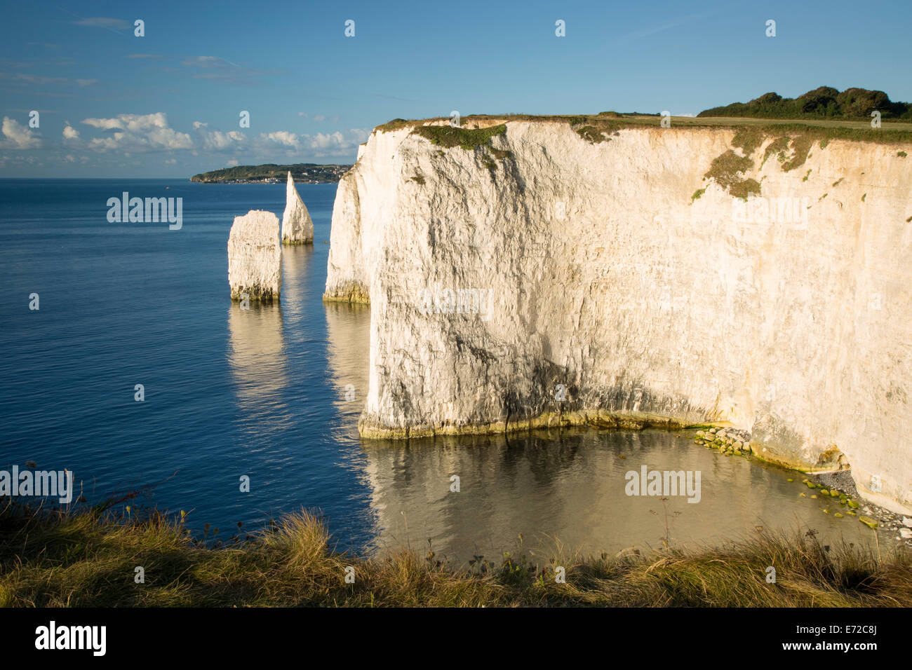 Dawn at the white cliffs and Harry Rocks at Studland, Isle of Purbeck ...