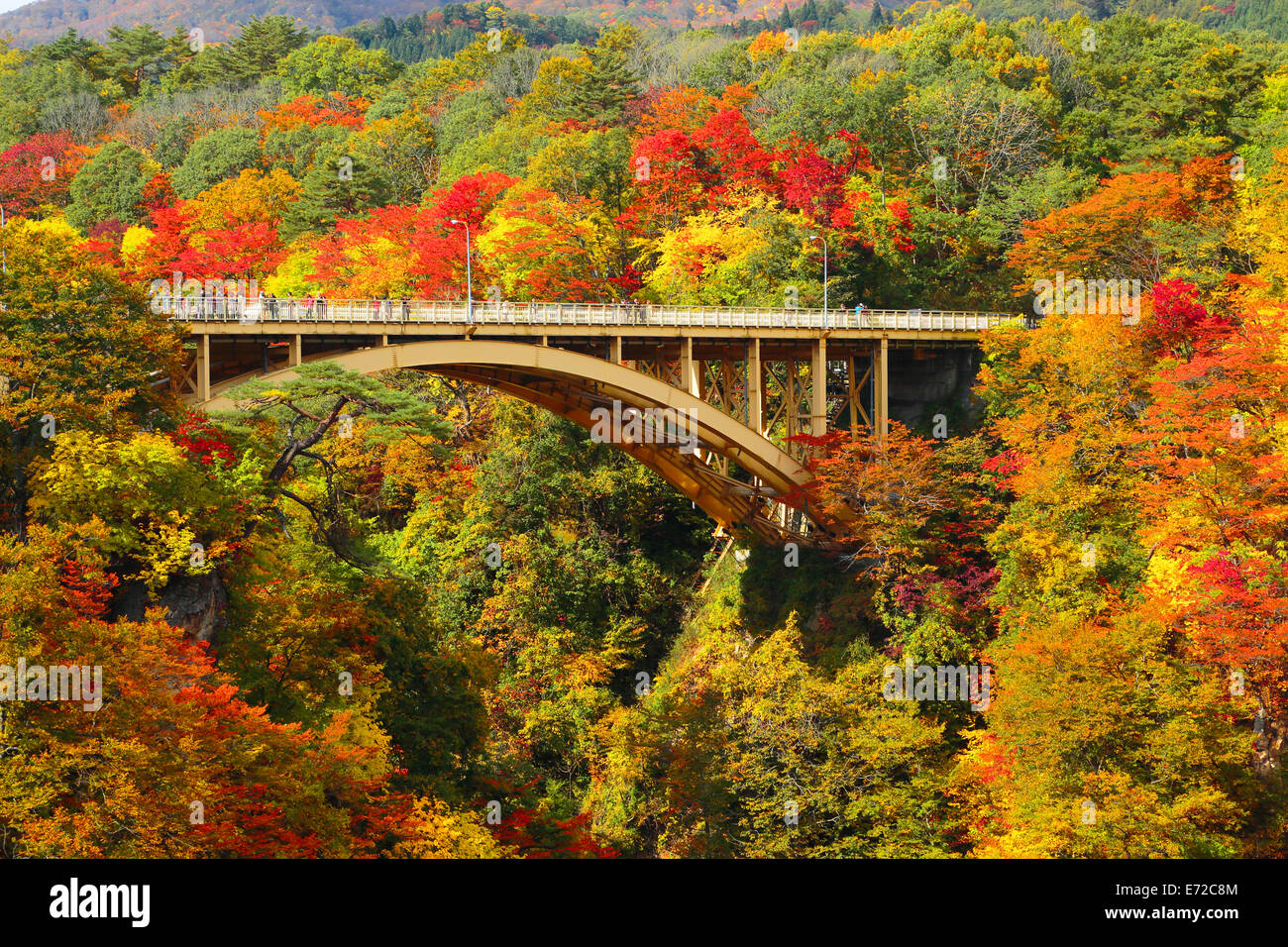 Naruko canyon in autumn, Miyagi, Japan Stock Photo - Alamy