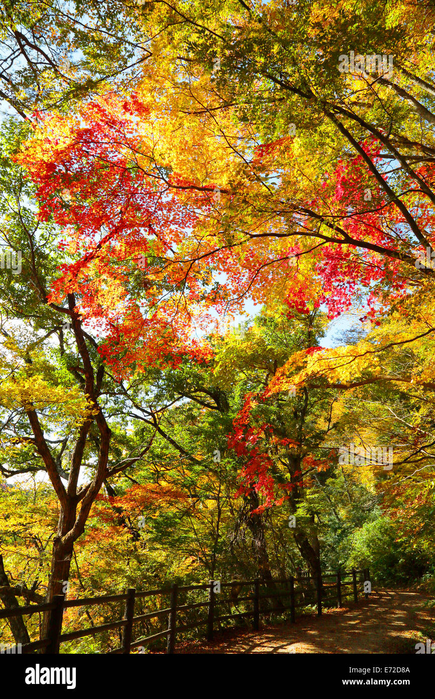 Naruko mountains hi-res stock photography and images - Alamy