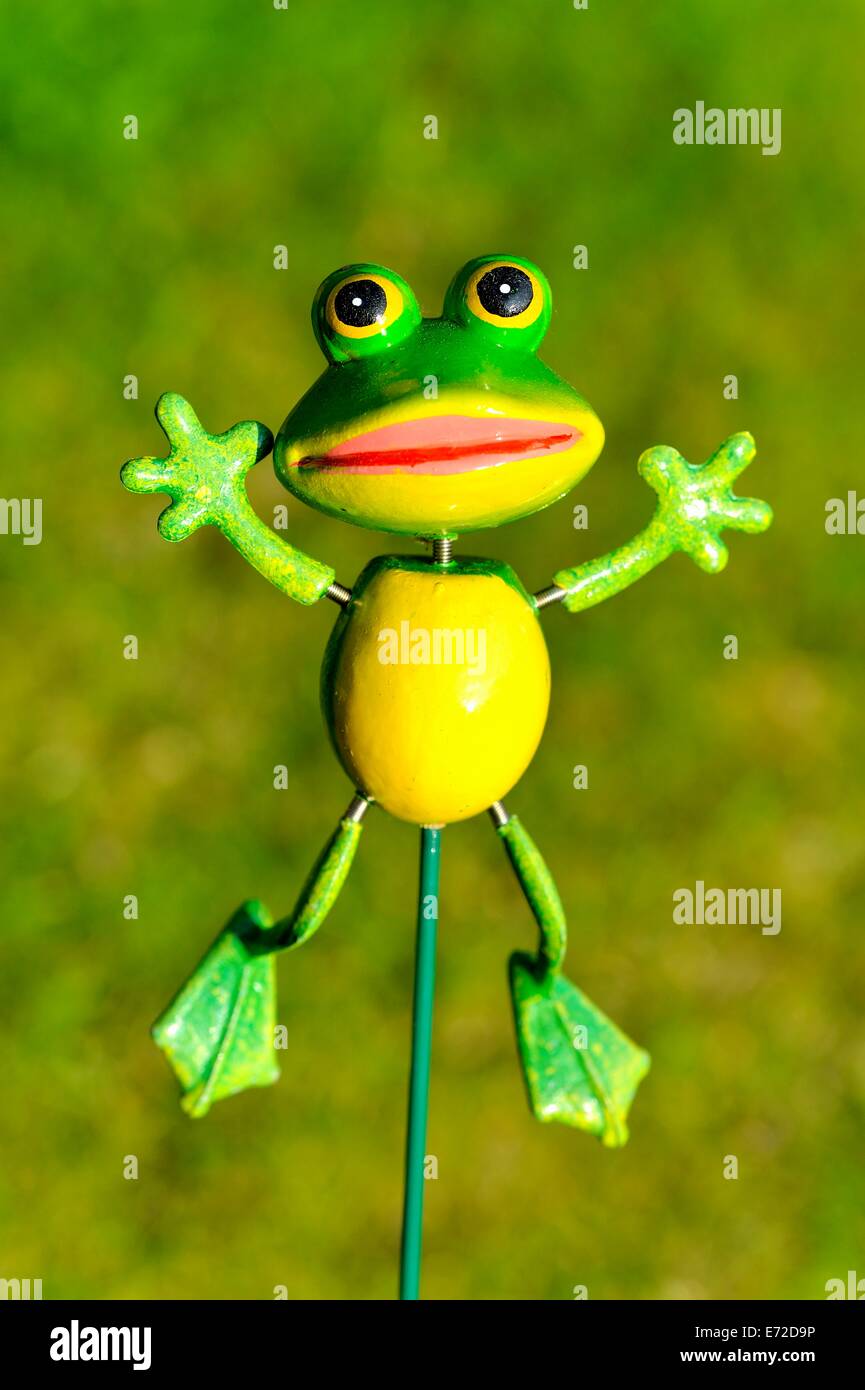 Frogs on grass hi-res stock photography and images - Alamy