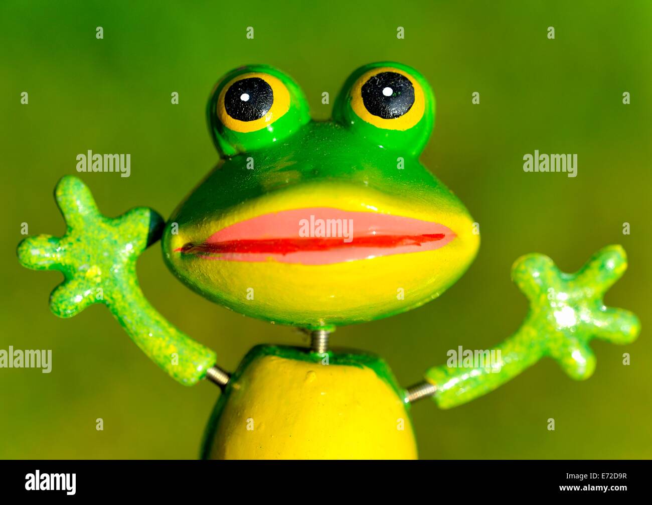 A green frog on a garden stick Stock Photo - Alamy