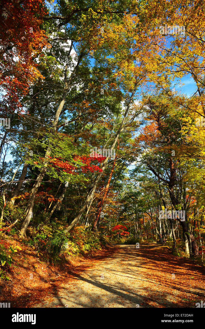 Naruko gorge hi-res stock photography and images - Alamy