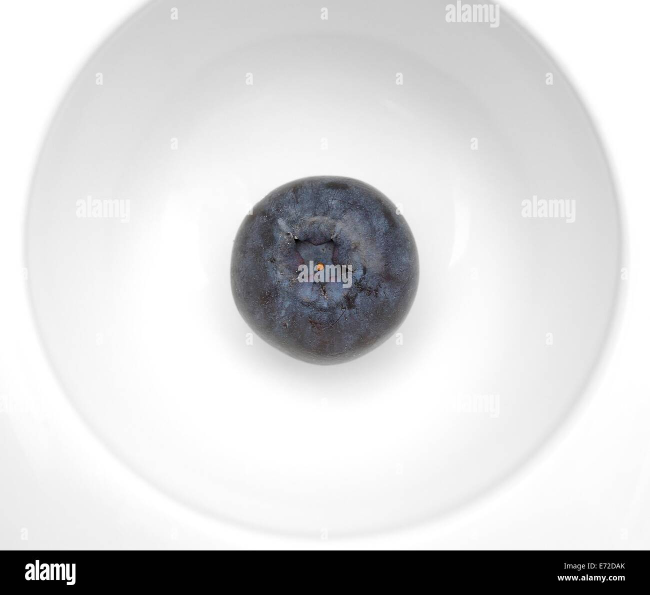 One blueberry hi-res stock photography and images - Alamy