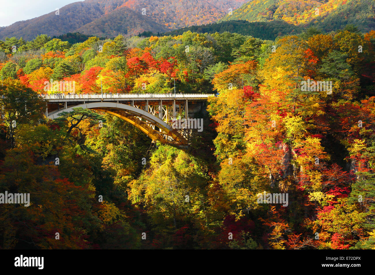 Naruko canyon in autumn, Miyagi, Japan Stock Photo - Alamy