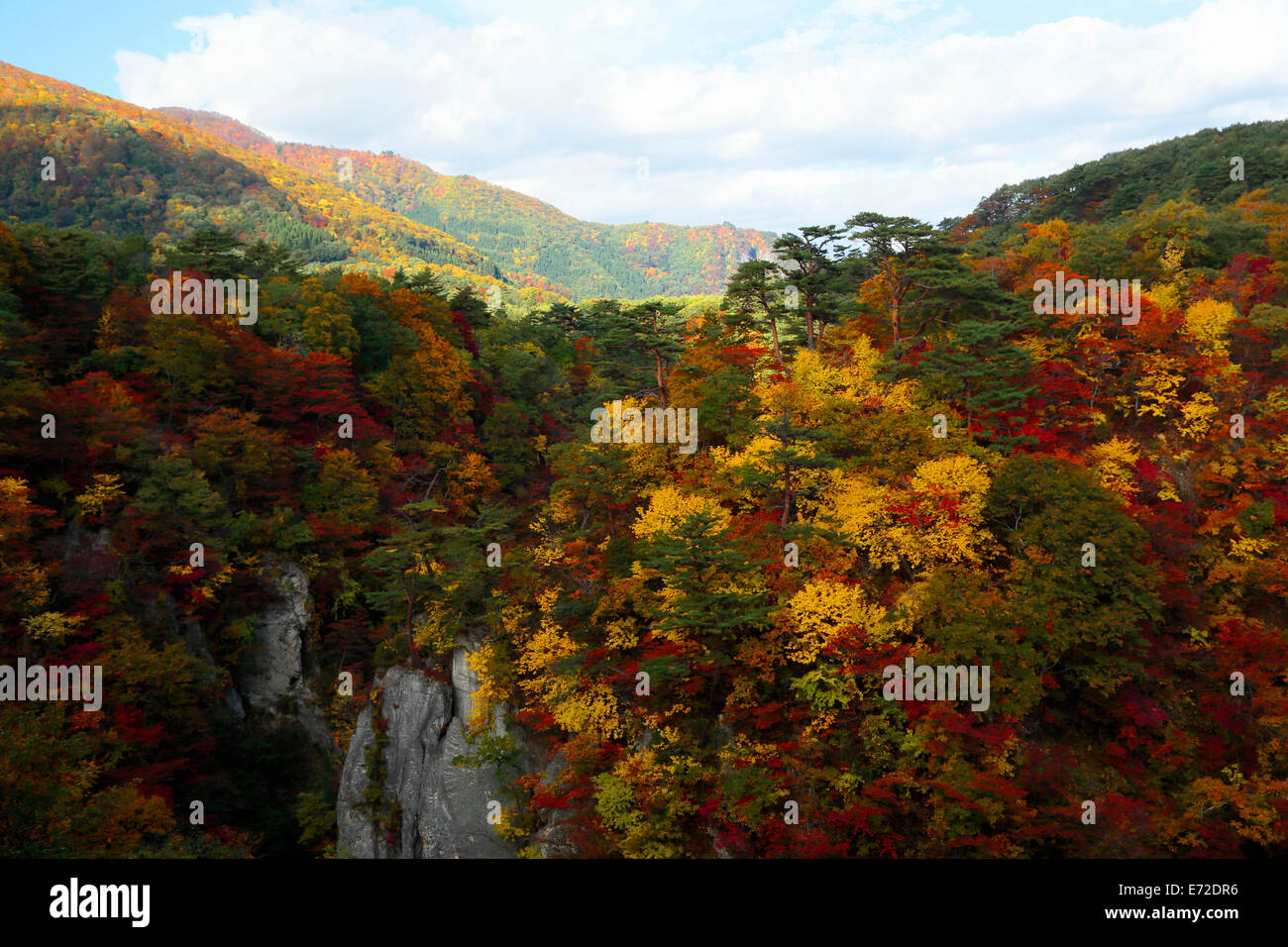 Naruko canyon in autumn, Miyagi, Japan Stock Photo - Alamy