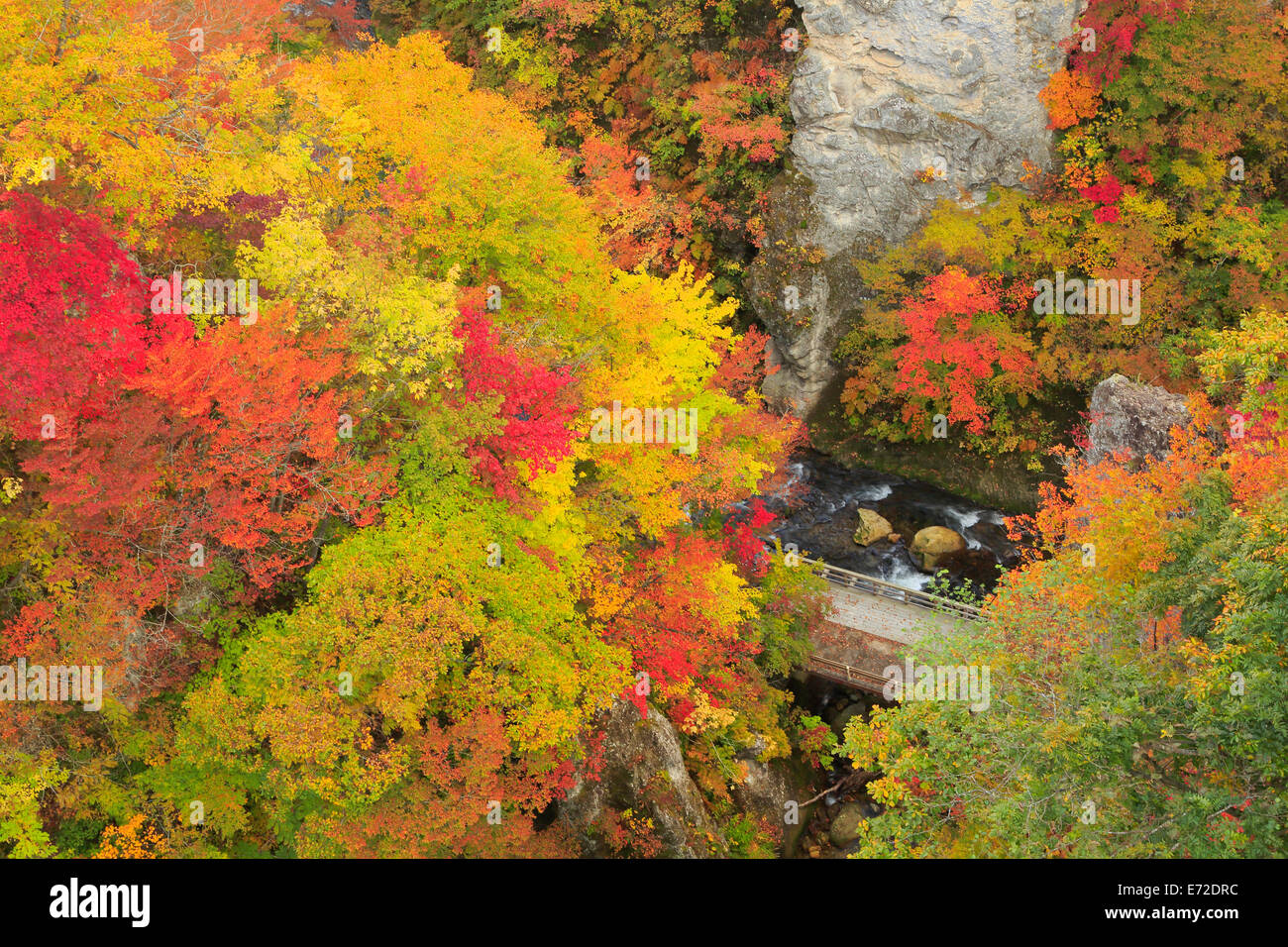 Miyagi hi-res stock photography and images - Alamy