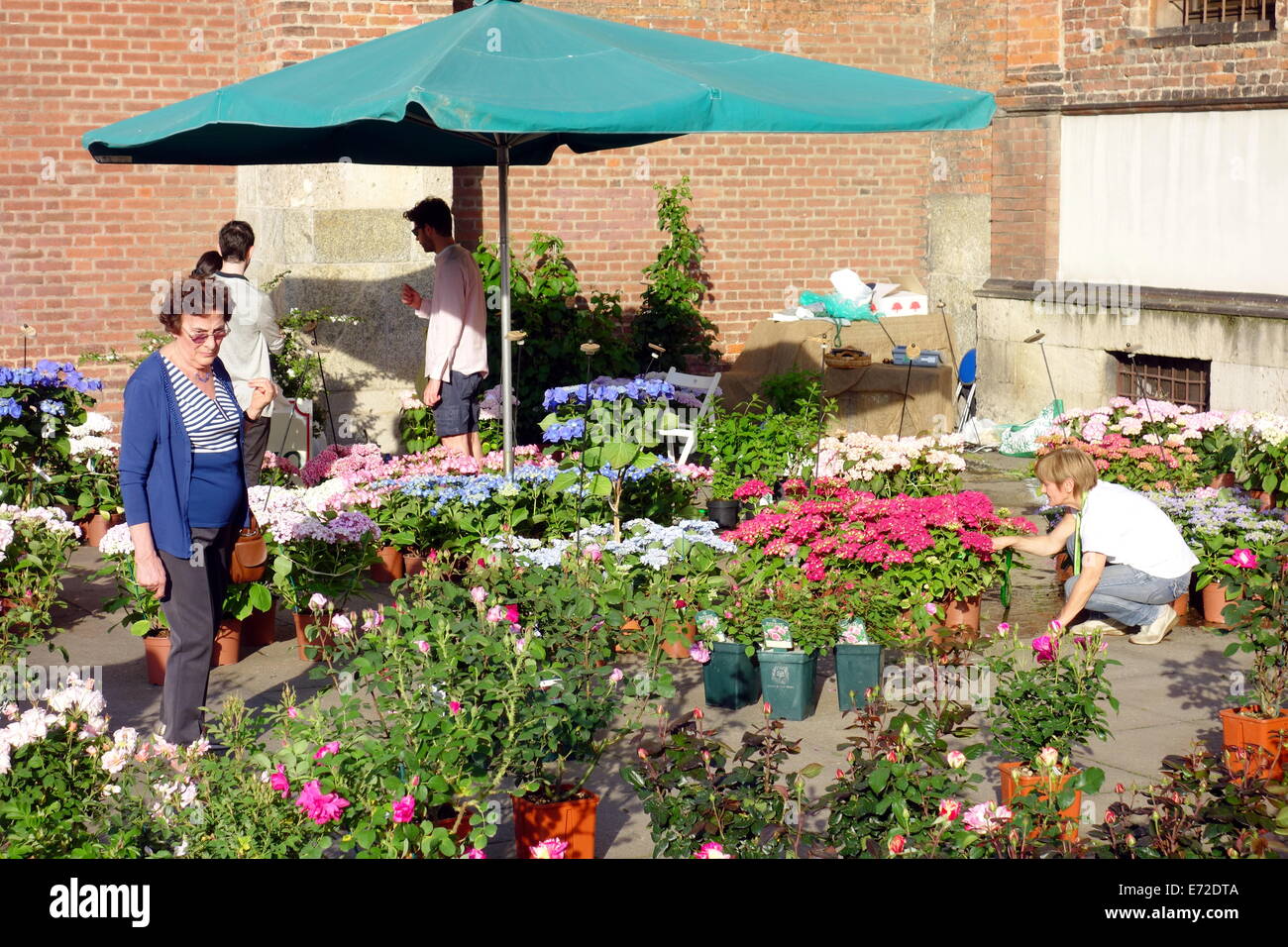 Flowers market in Milan, Italy Stock Photo - Alamy