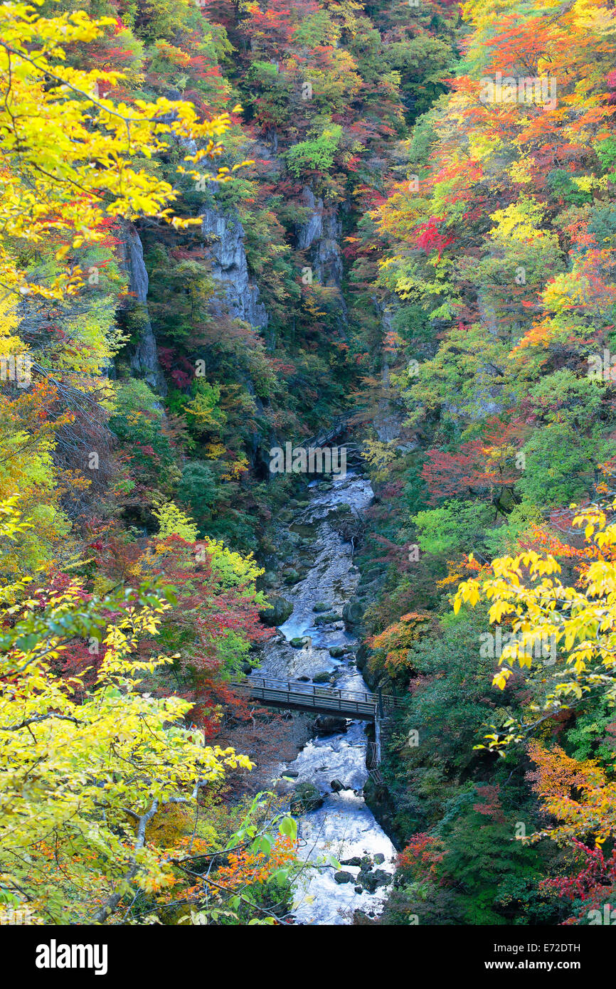 Naruko canyon in autumn, Miyagi, Japan Stock Photo - Alamy