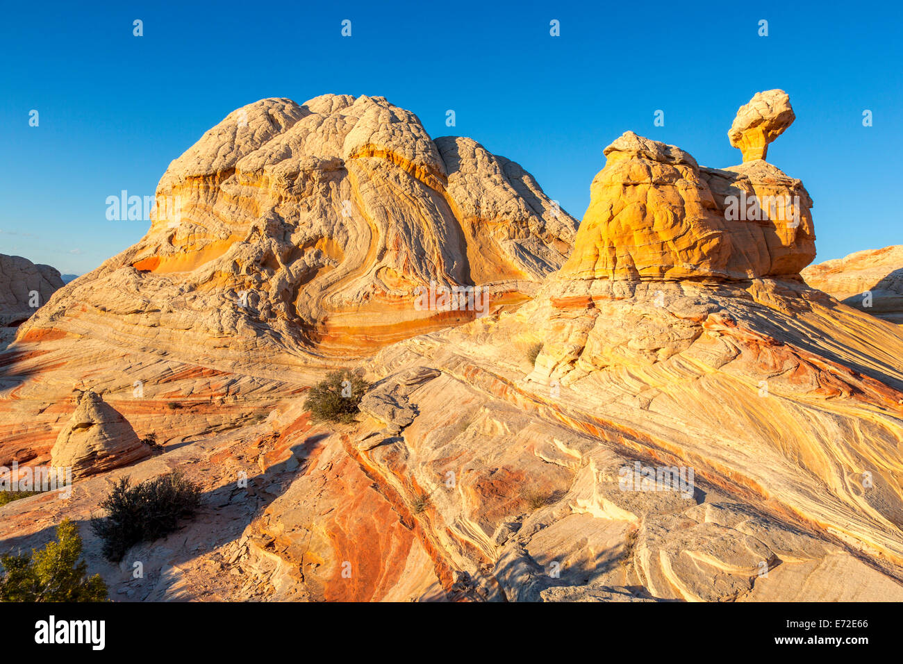 Sandstone formations at the White Pocket in the Vermillion Cliffs ...
