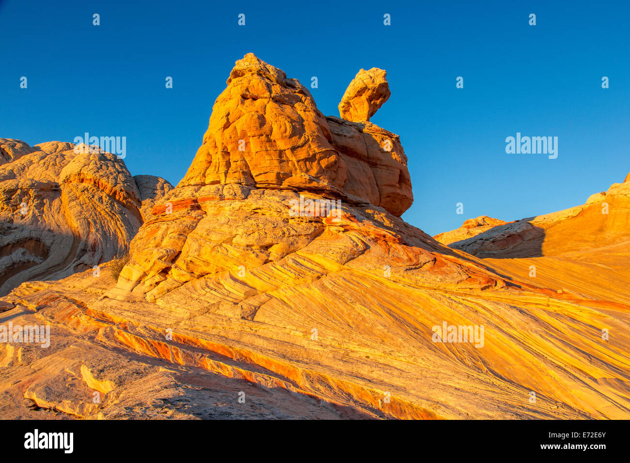Sandstone formations at the White Pocket in the Vermillion Cliffs ...