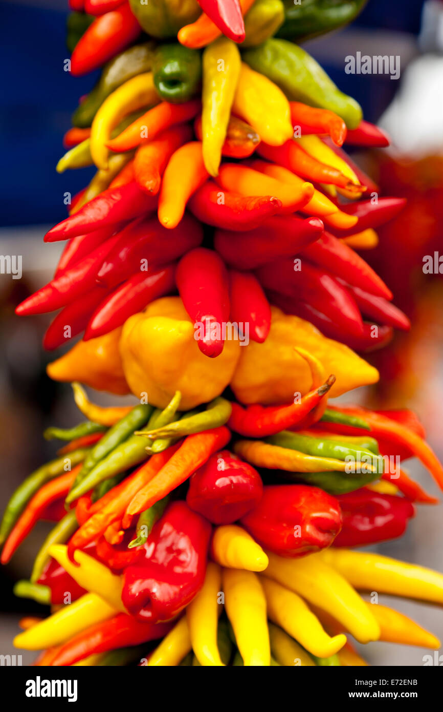 Colorful image of bunches of chili peppers hanging on a stall front in ...
