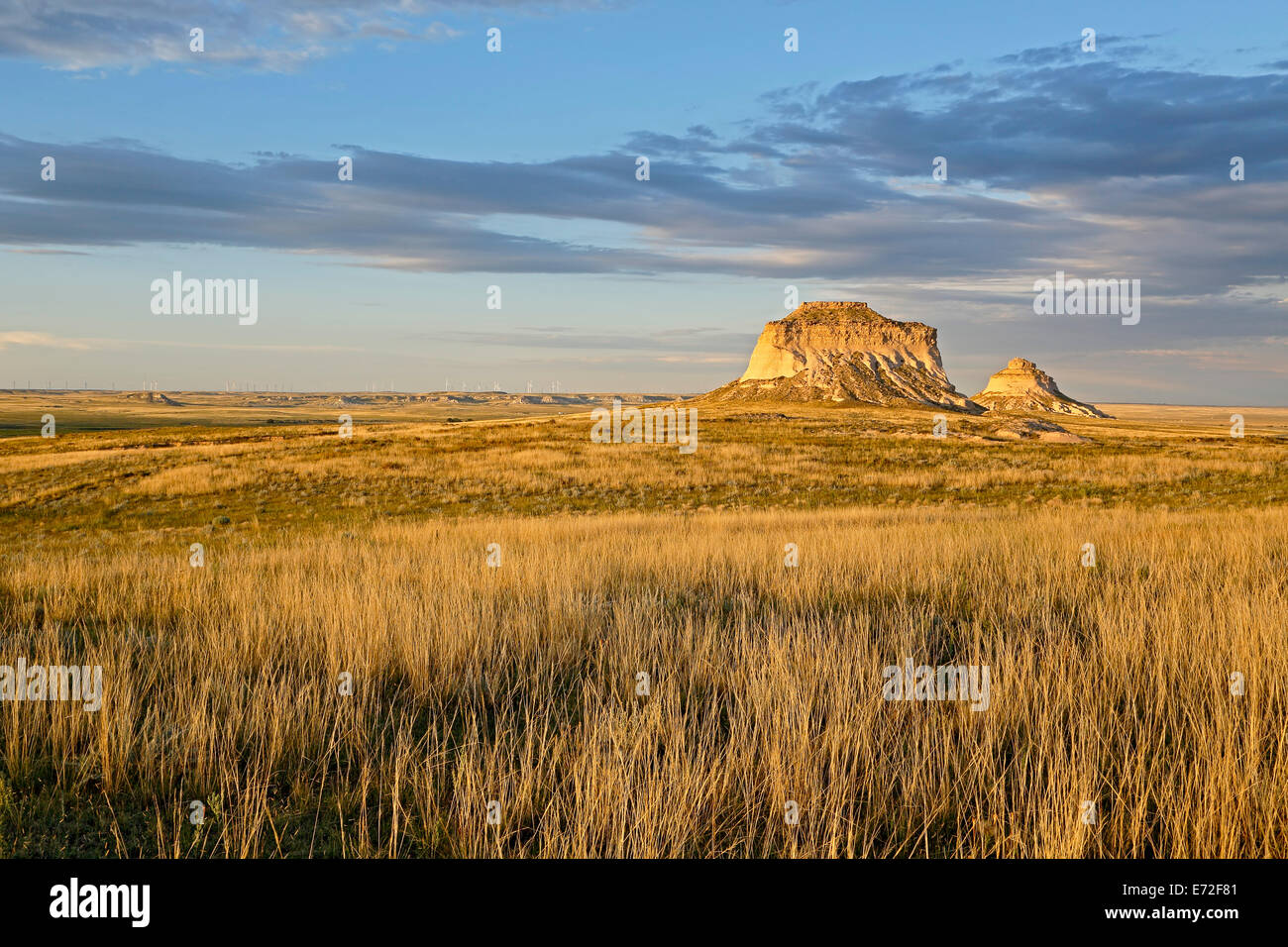 Grasses and Pawnee Buttes, Pawnee National Grassland, Colorado USA ...