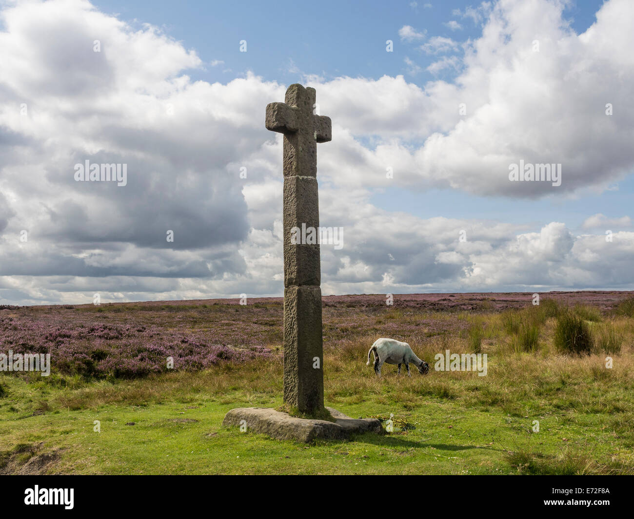 Young Ralph Cross Blakey Ridge North York Moors National Park UK Stock ...