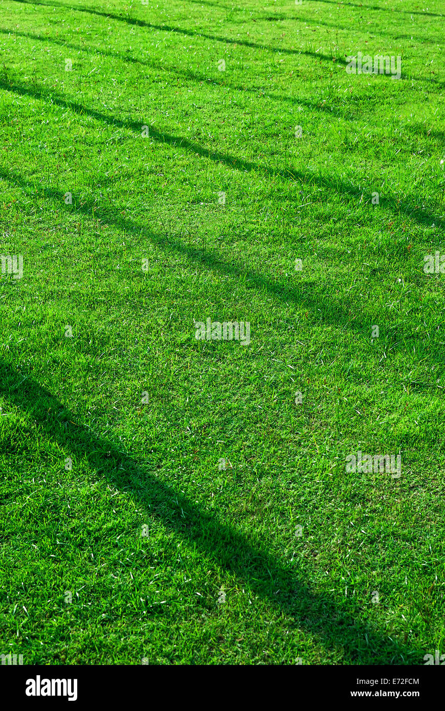 grass ground with pole shadow Stock Photo - Alamy