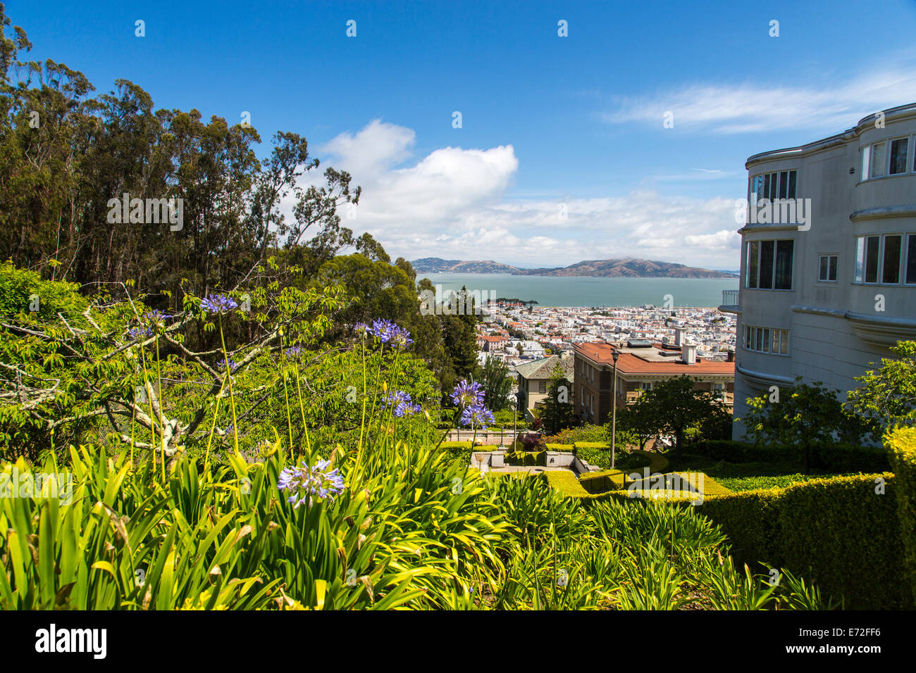 The Lyon Street Stairs in San Francisco, California, USA Stock Photo ...