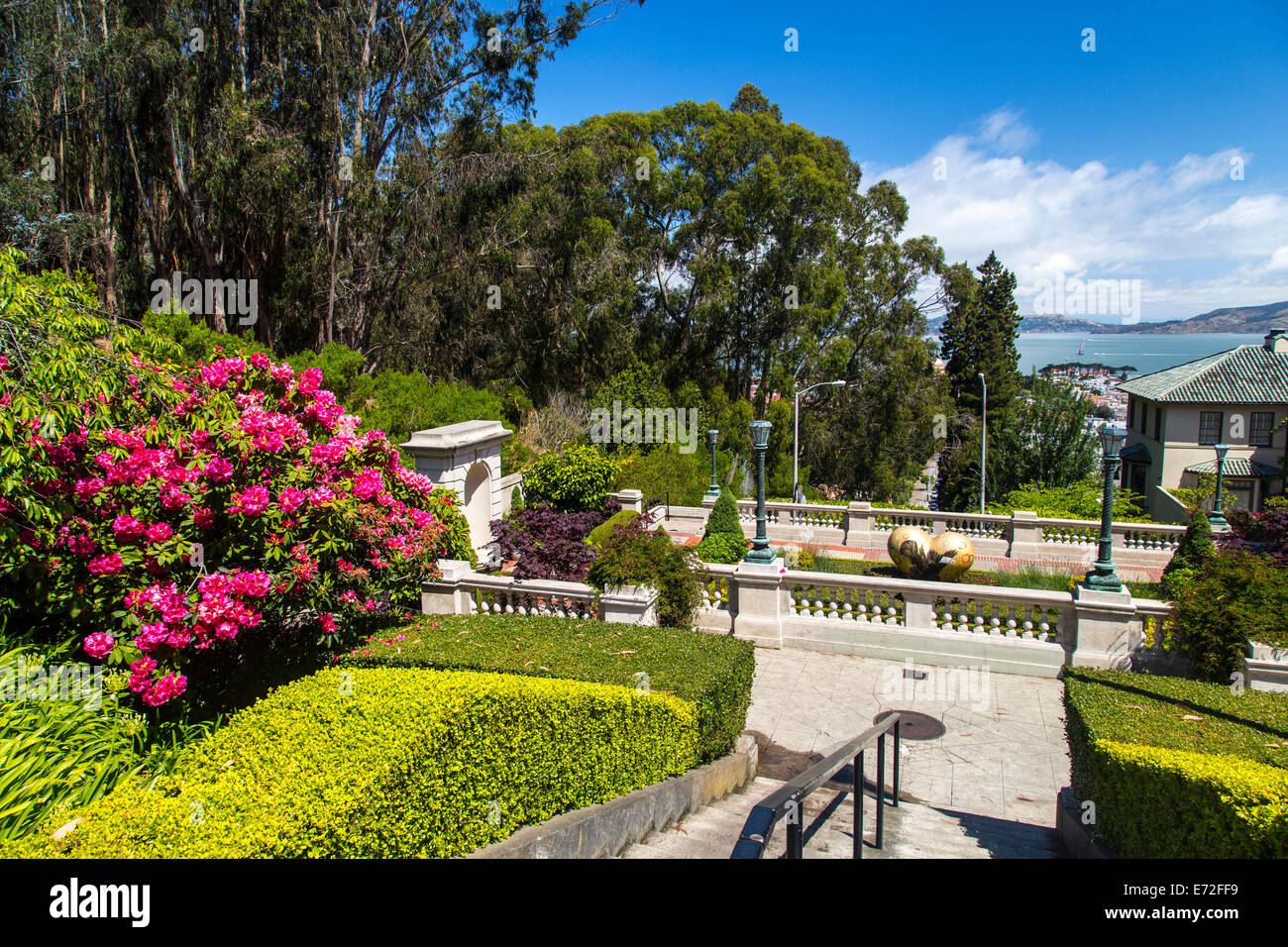 The Lyon Street Stairs in San Francisco, California, USA Stock Photo ...