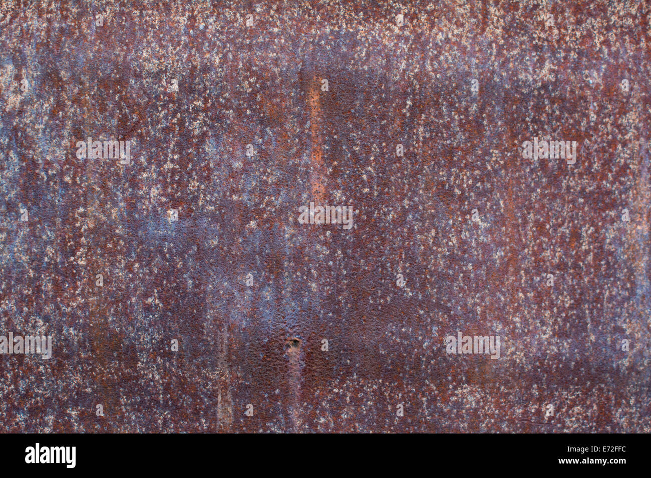 Fine grain hi-res stock photography and images - Alamy