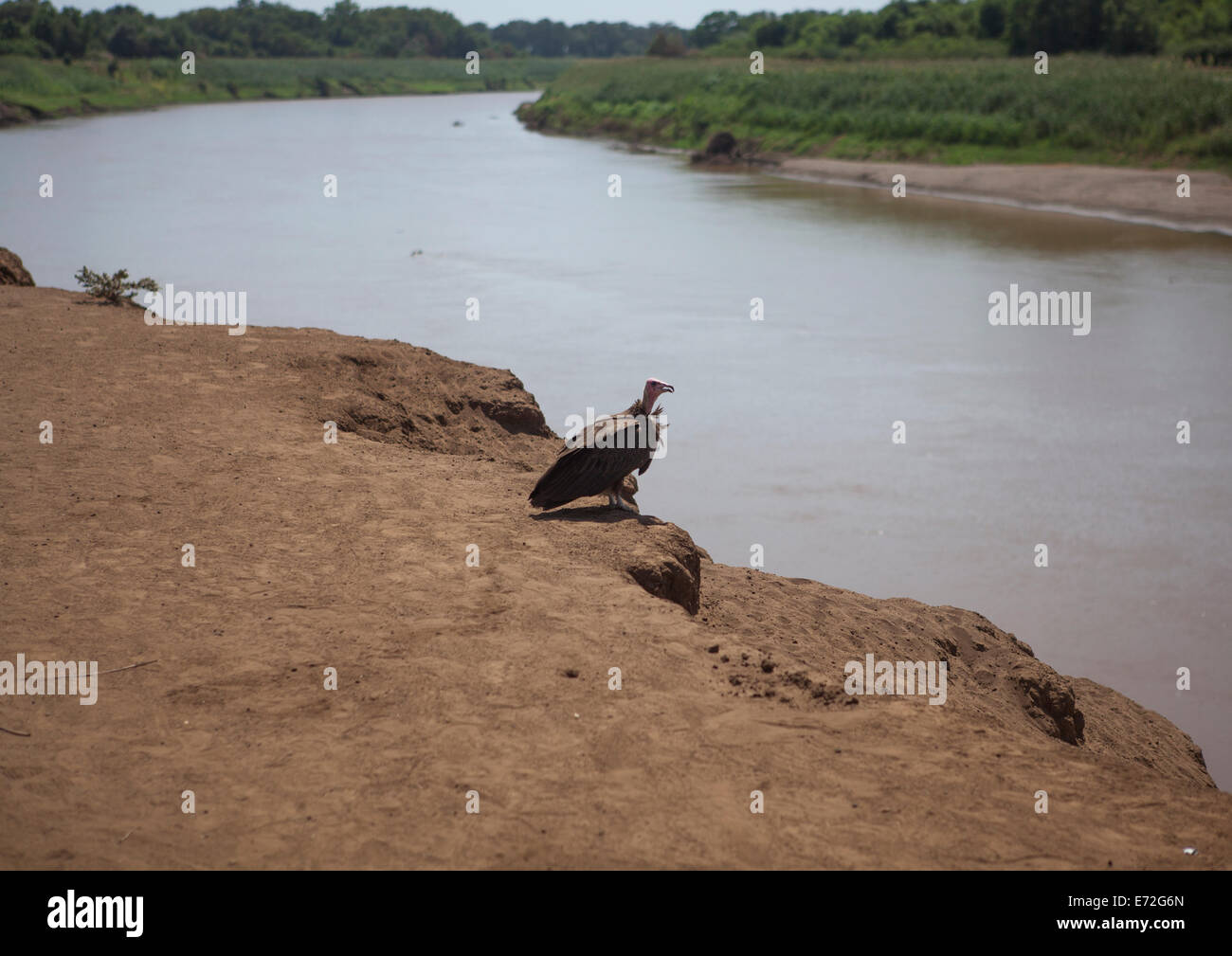 Omo River Banks, Kangate, Omo Valley, Ethiopia Stock Photo - Alamy