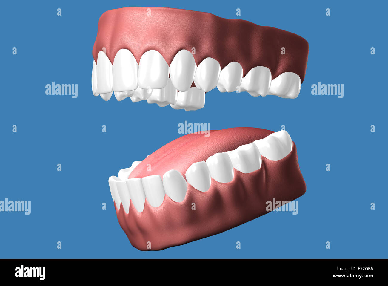 Human incisor teeth white background hi-res stock photography and ...