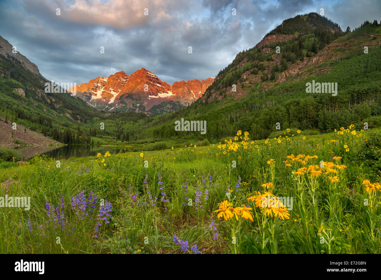 Maroon Bells reflect into calm Maroon Lake near Aspen, Colorado, USA ...