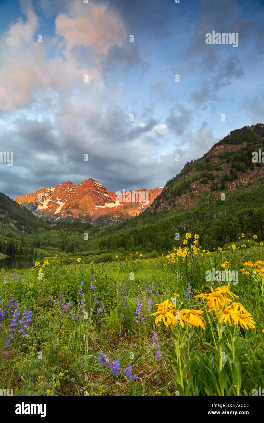 Maroon Bells reflect into calm Maroon Lake near Aspen, Colorado, USA ...