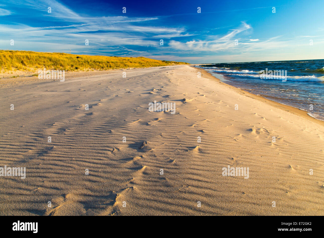 Sandy Shores And Endless Fun: Your Guide To Michigan's Sandy Beach ...