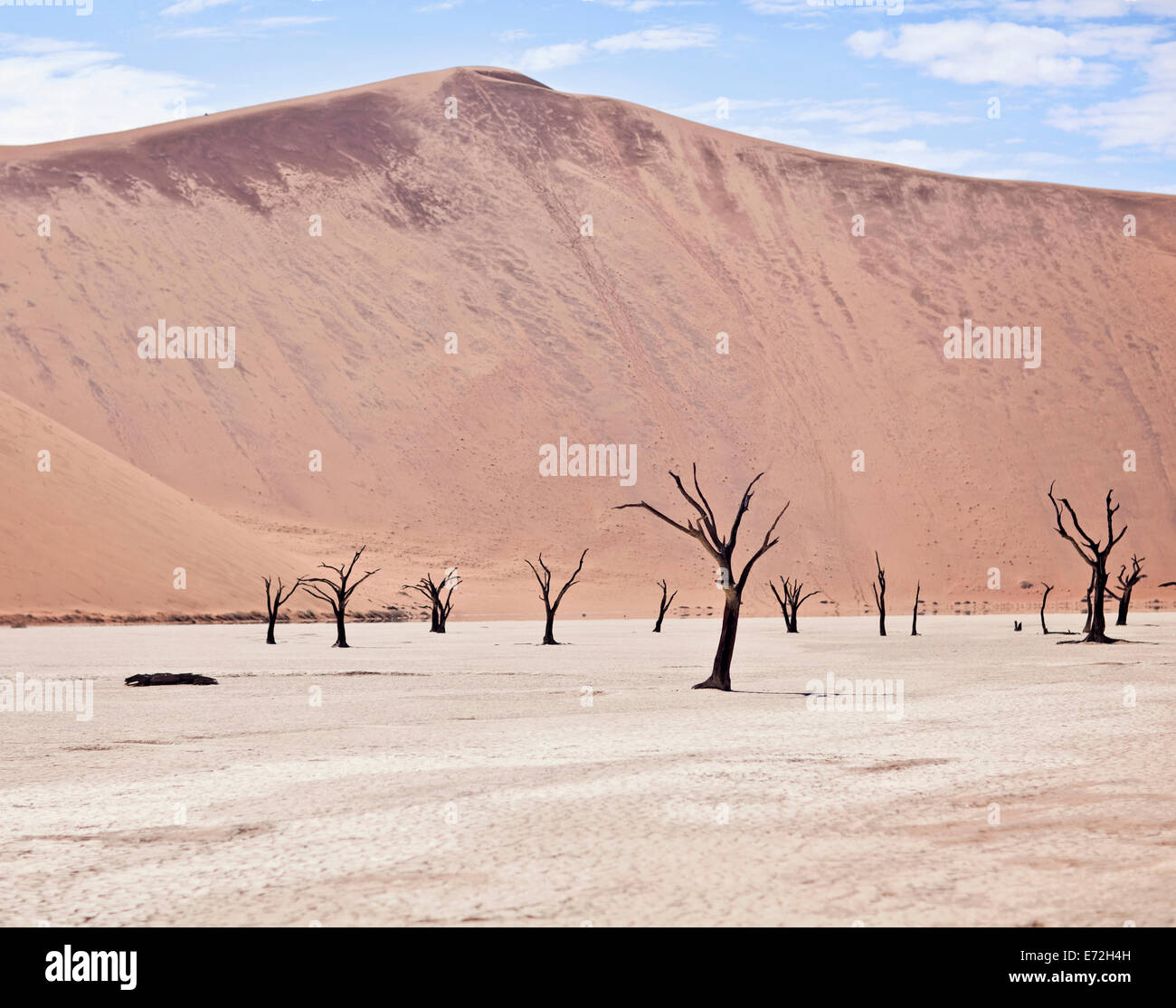 The dead trees of the Deadvlei, a salt pan in Namibia, sit beneath a ...