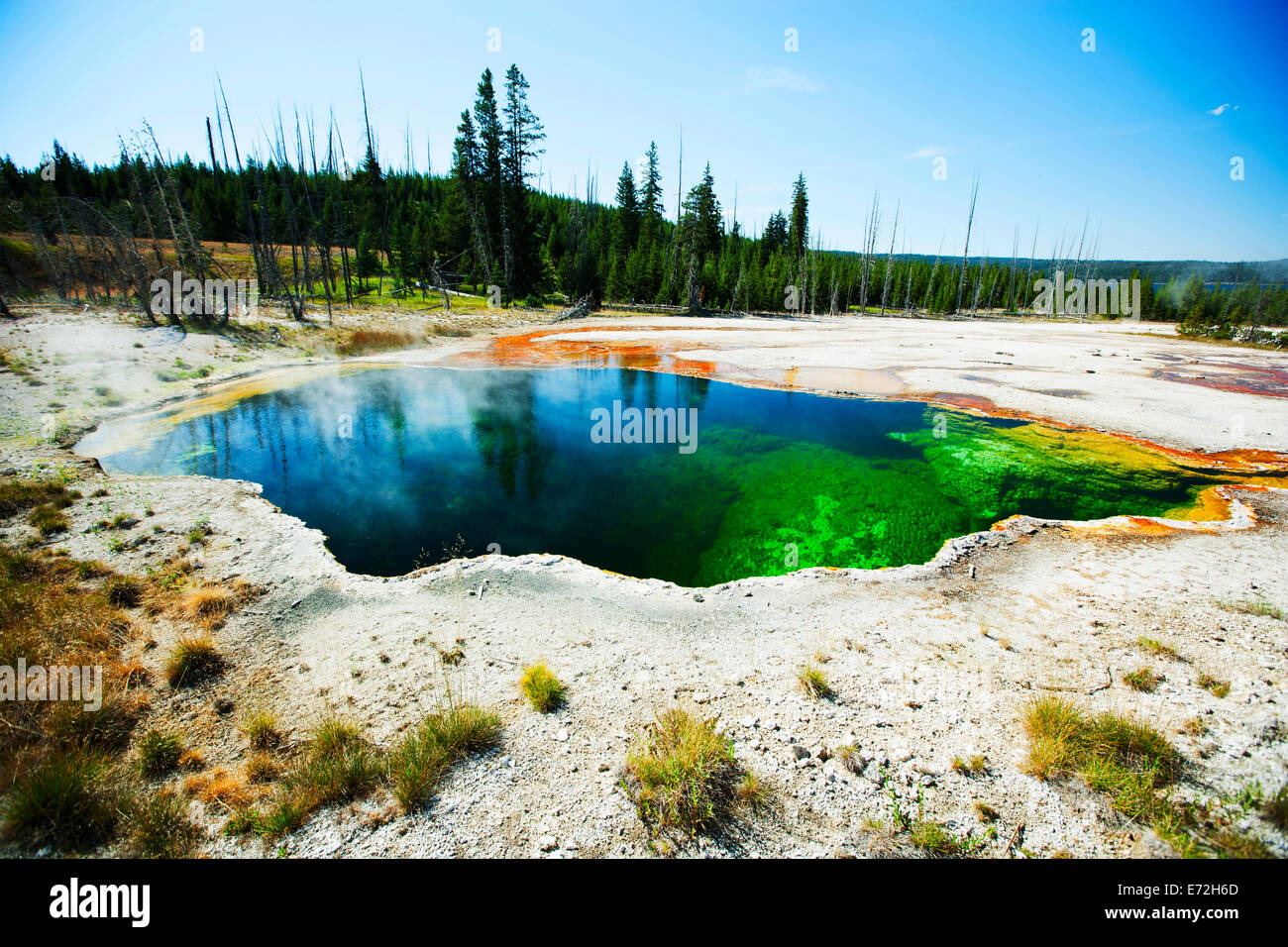 Geothermal springs in Yellowstone National Park Stock Photo - Alamy
