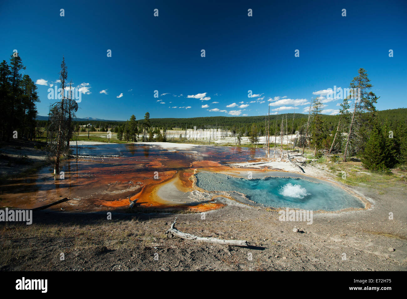 Geothermal springs in Yellowstone National Park Stock Photo - Alamy
