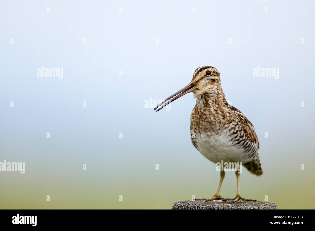 Wma hi-res stock photography and images - Alamy