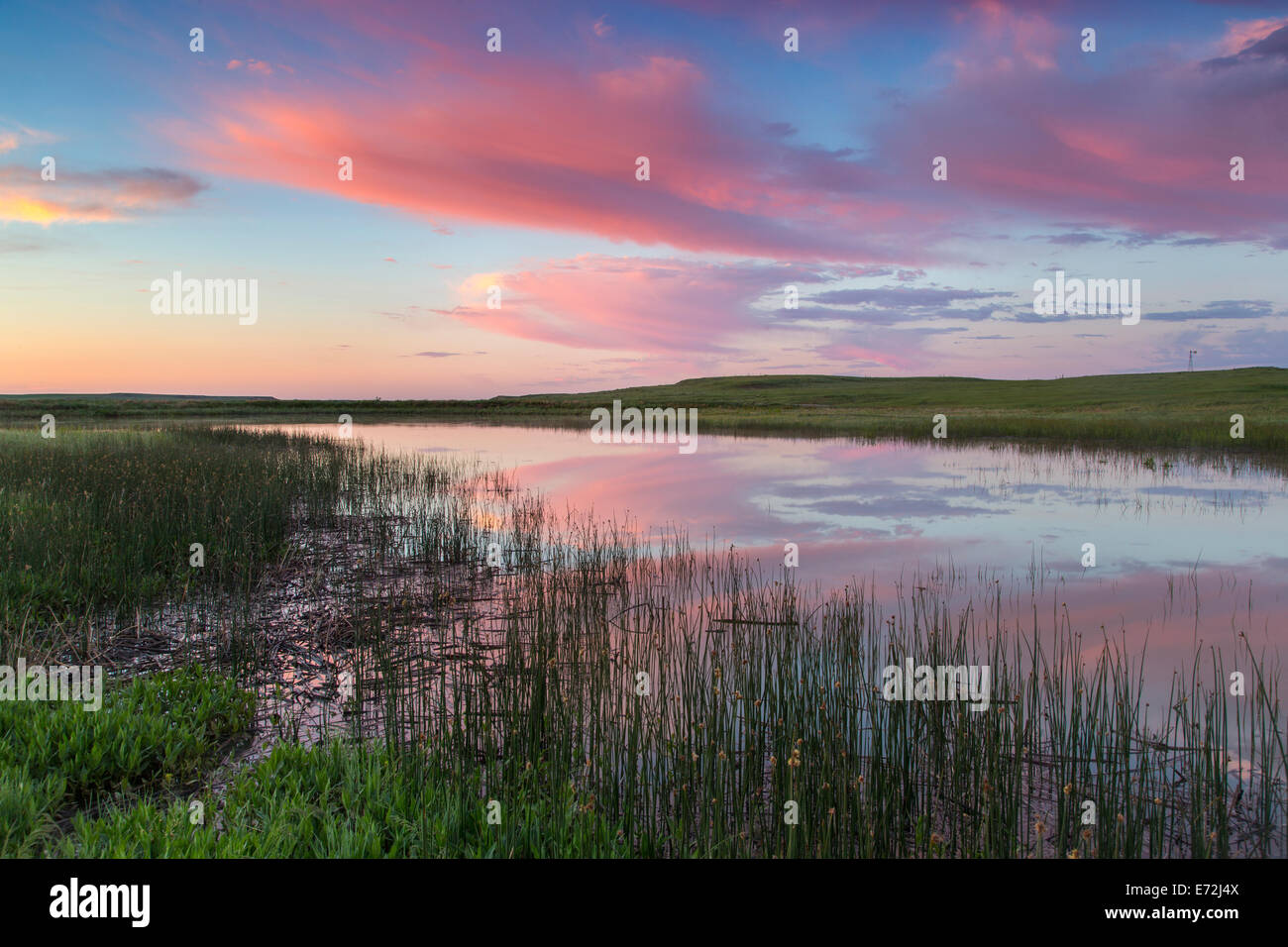 Prairie pond reflects brilliant sunrise clouds in Garfield County near ...