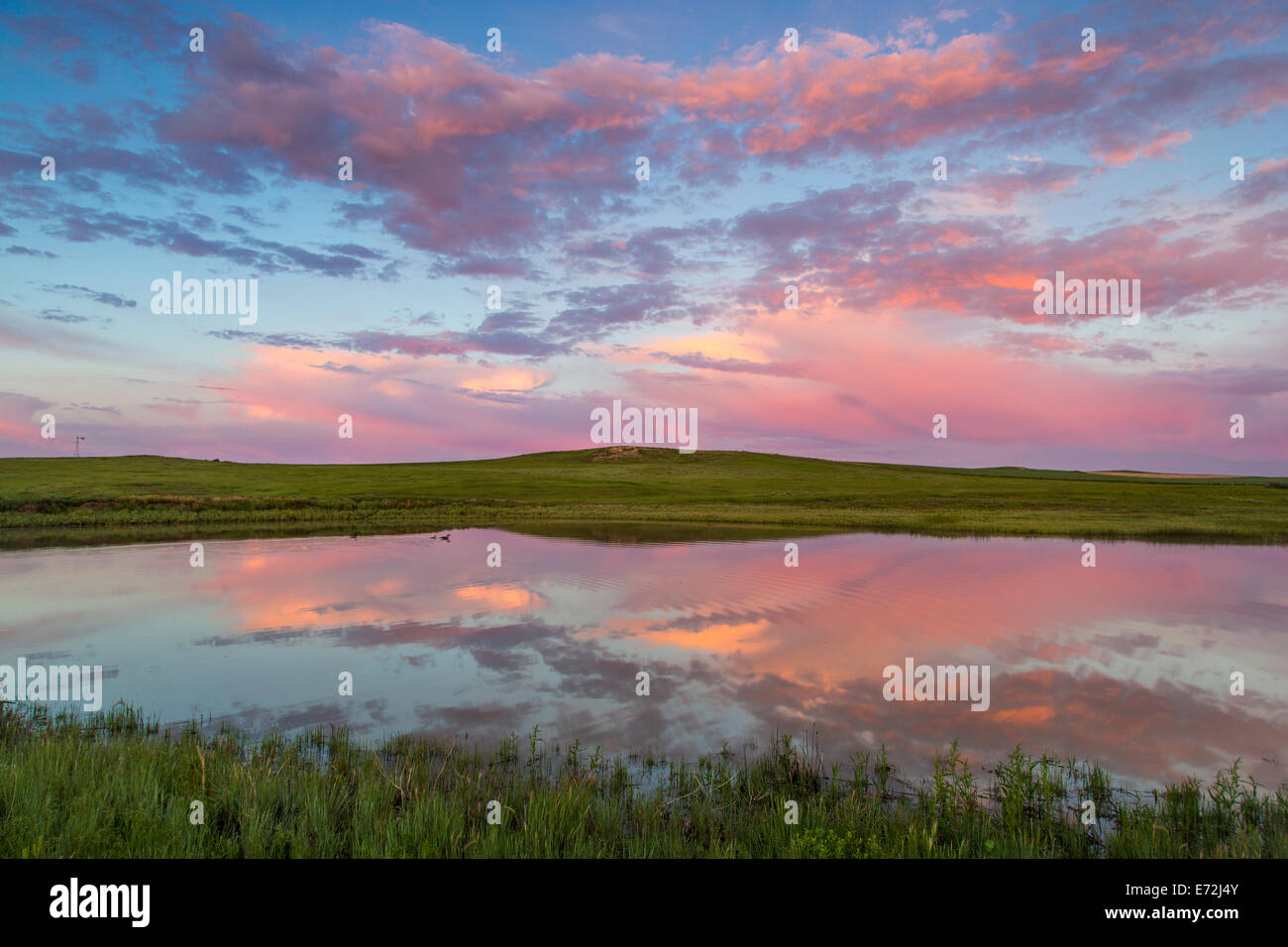 Prairie pond reflects brilliant sunrise clouds in Garfield County near ...