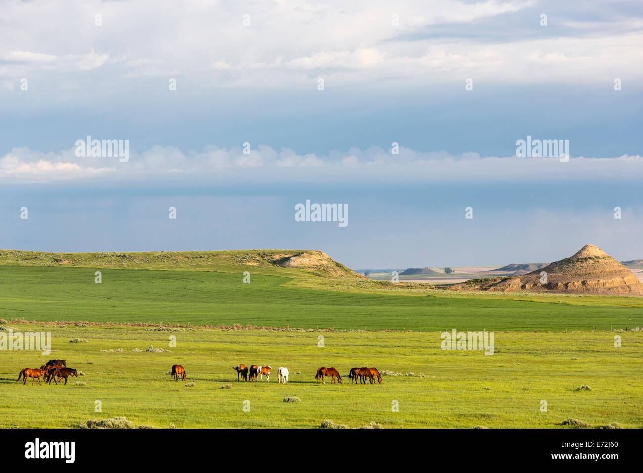 Montana jordan hi-res stock photography and images - Alamy