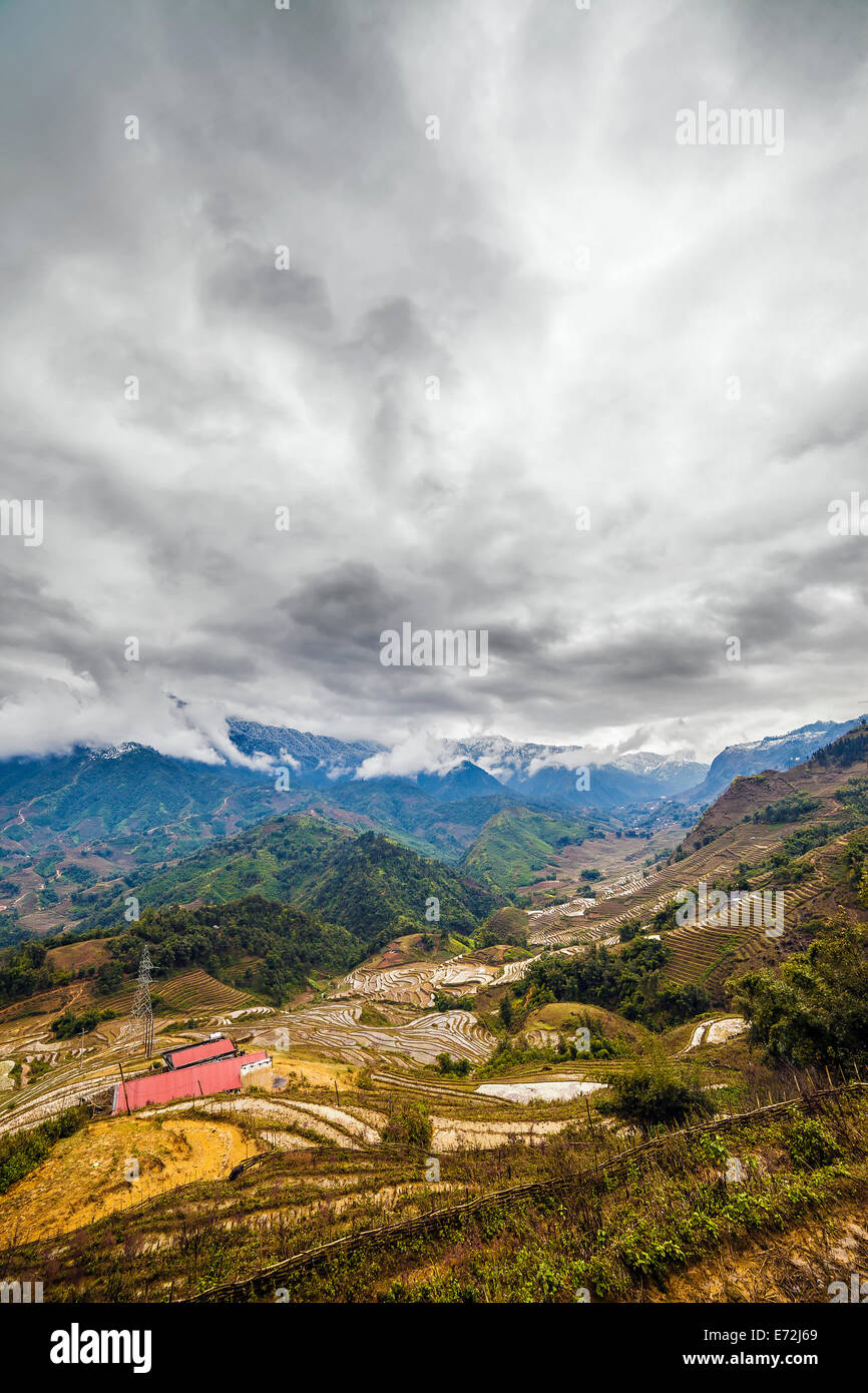 Rice field terraces. Sapa Vietnam Stock Photo - Alamy