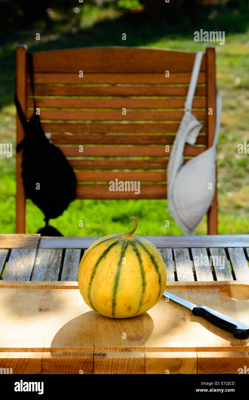 A fresh hand picked french sweet yellow melon Stock Photo - Alamy